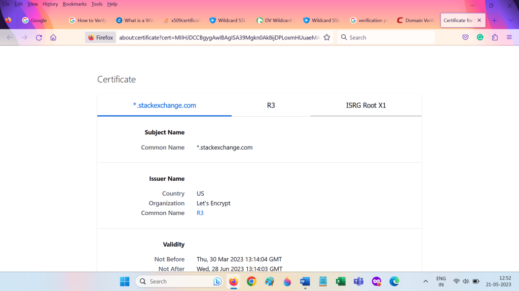 How to Verify the Wildcard SSL Certificate for Single Domain | Wildcard ...